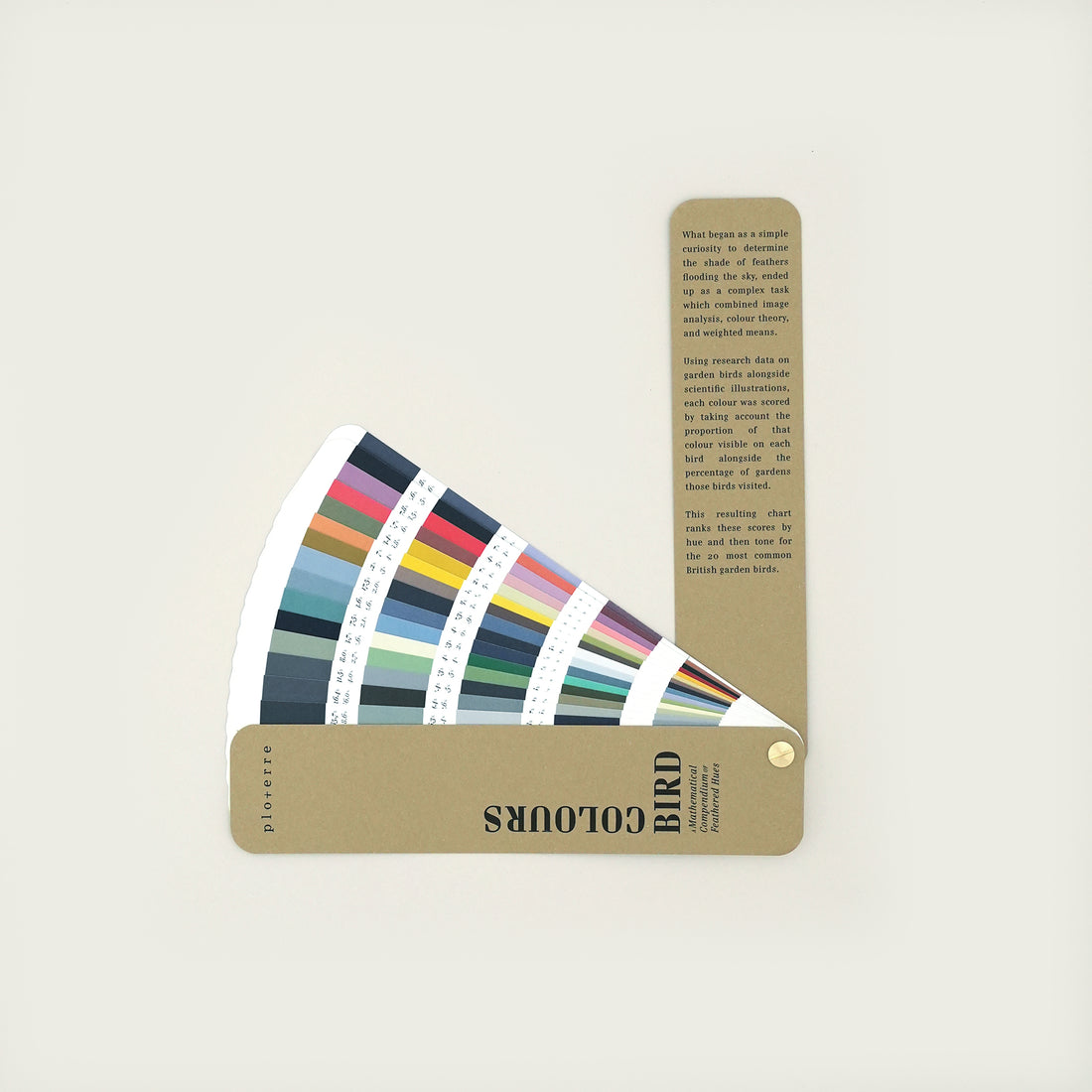 Bird Colours Book – Ploterre