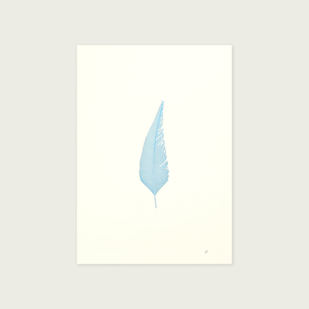 A4 Limited Edition Foiled Feather Print – Ploterre