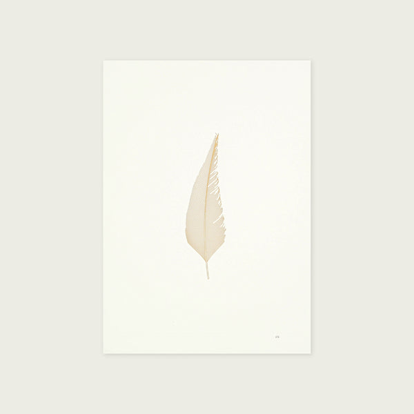 A4 Limited Edition Feather Foiled Print – Ploterre