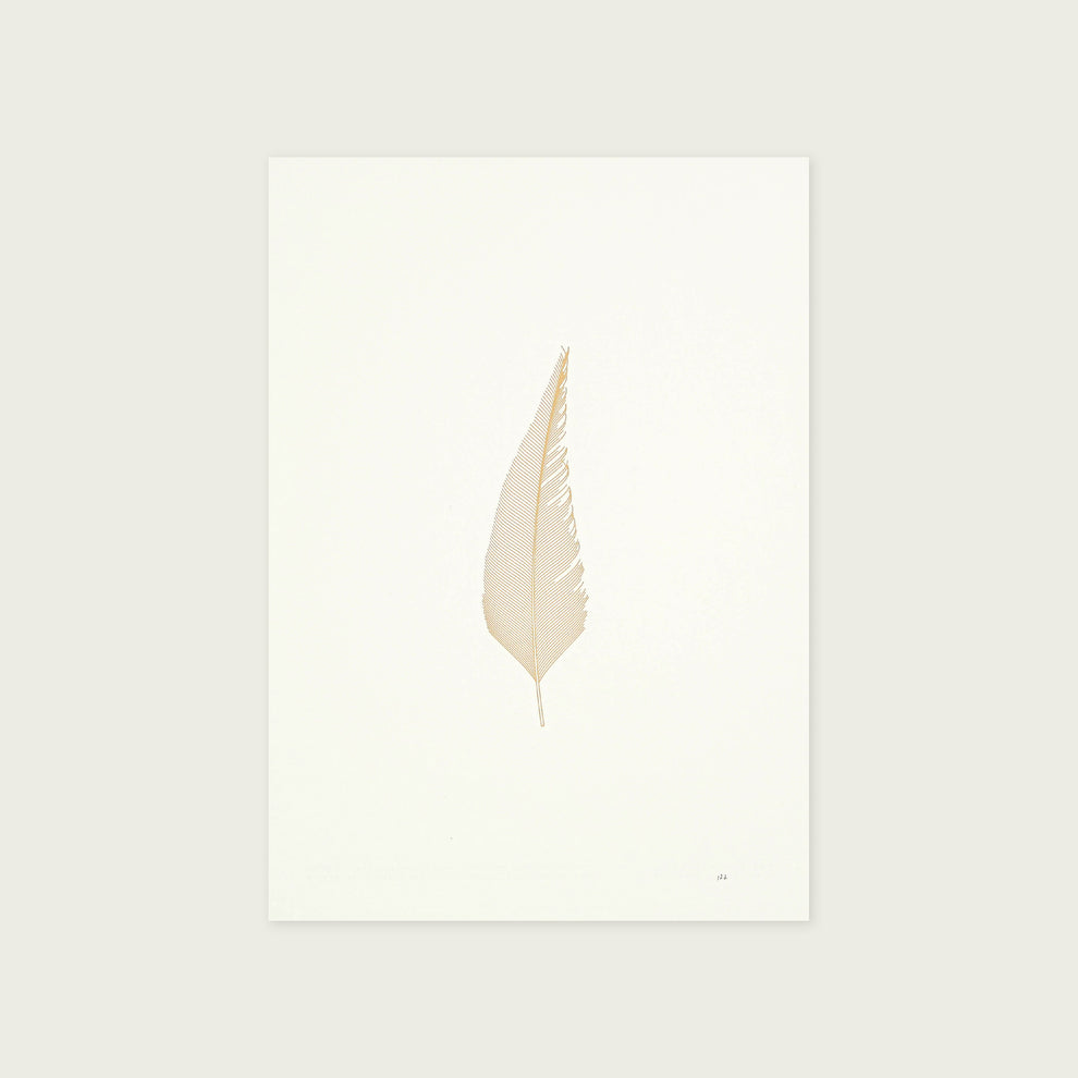 A4 Limited Edition Feather Foiled Print – Ploterre